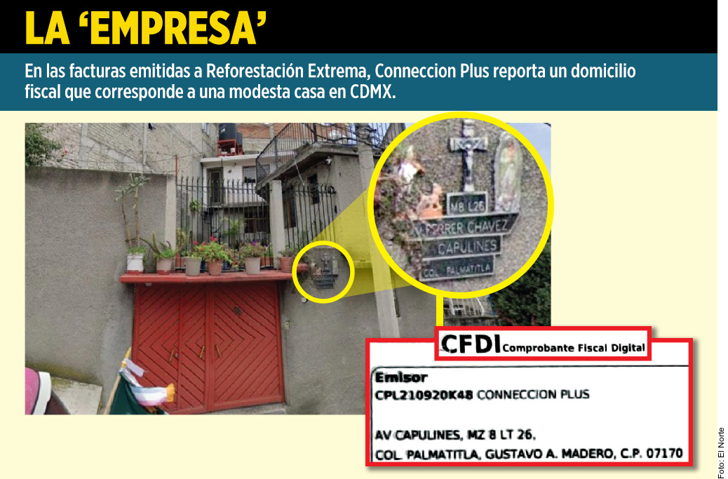 Paga Reforestación $9 millones a empresa 'fantasma' - Luces del Siglo