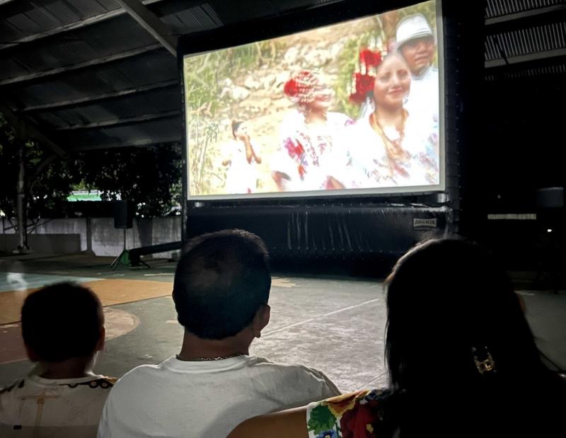 Llevan a la pantalla grande al flamenco caribeño como símbolo de ...