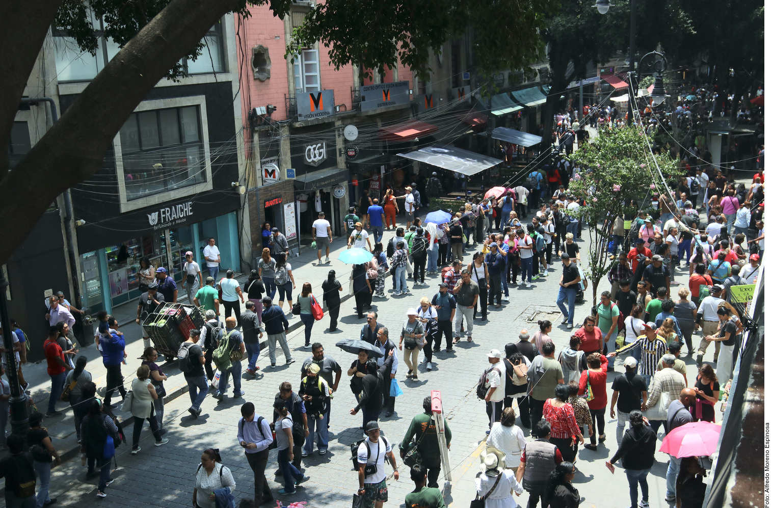 Ven viable ‘Fan Fest’, a pesar de la CNTE - Luces del Siglo